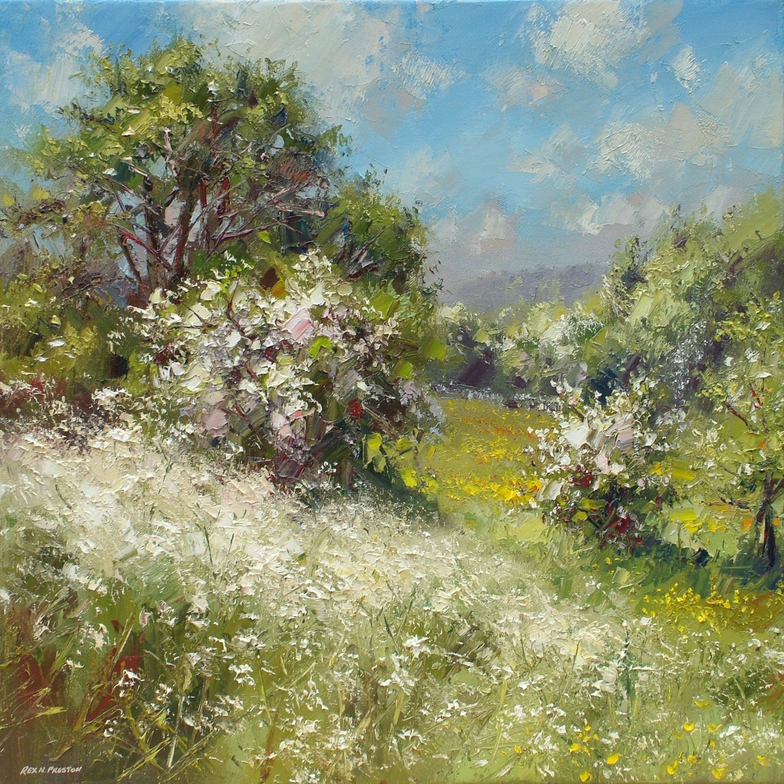 Current work | Rex Preston